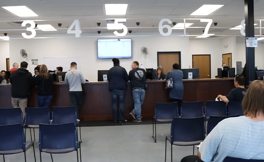 Chicago Desavanja | Oglasi, Poslovi u Cikagu, Koncerti, Turneje, USA ...